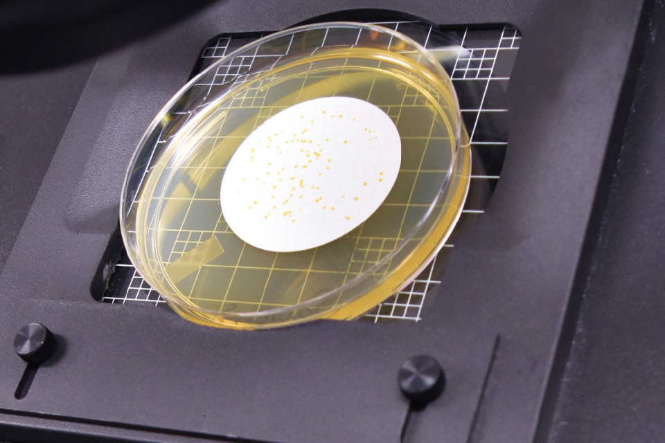 'Accelerating Microbial Testing in Pharmaceutical Manufacturing'